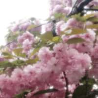 PC Games – Hey, Miss J!